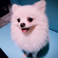 OpenCv_01——图像的基本操作_while open: ret-CSDN博客